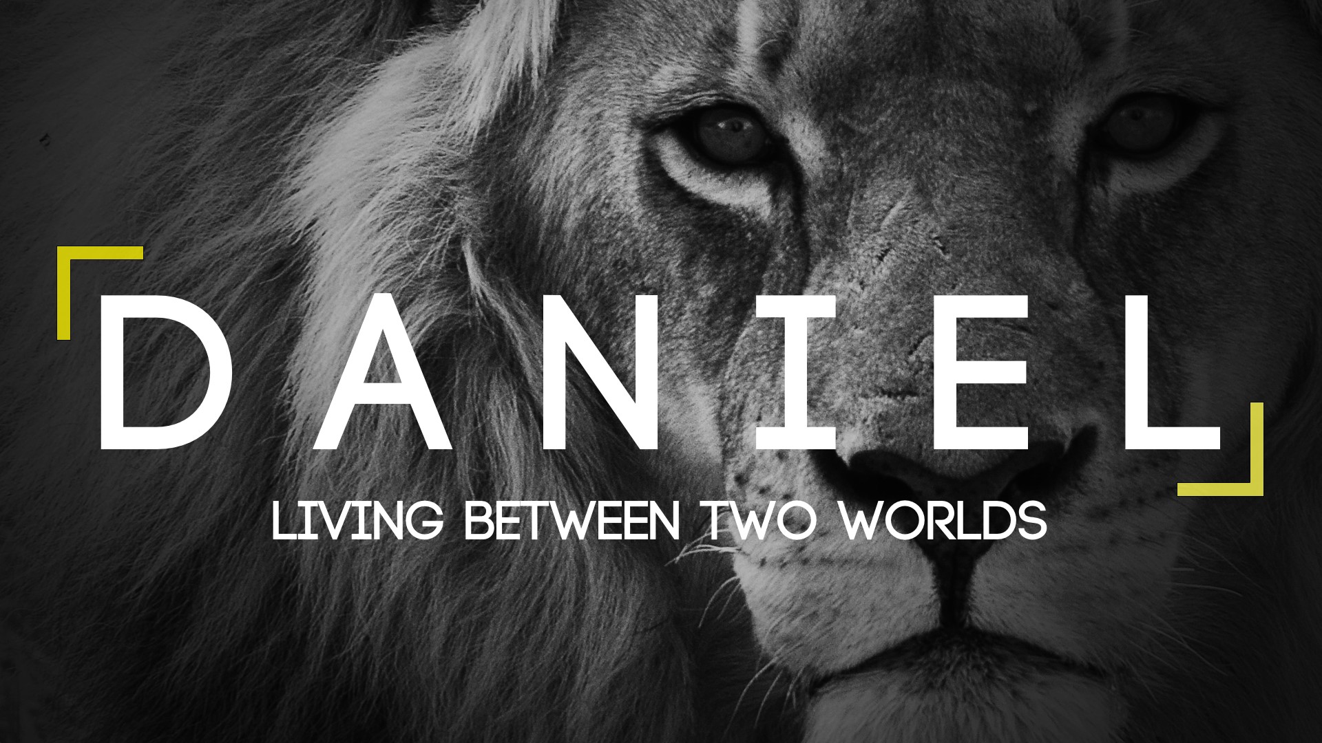 Hillview Bible Studies